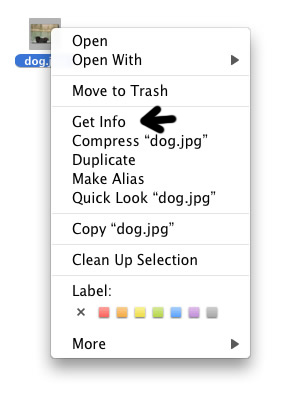 How to check jpeg photo resolution | SchoolPrinting.com